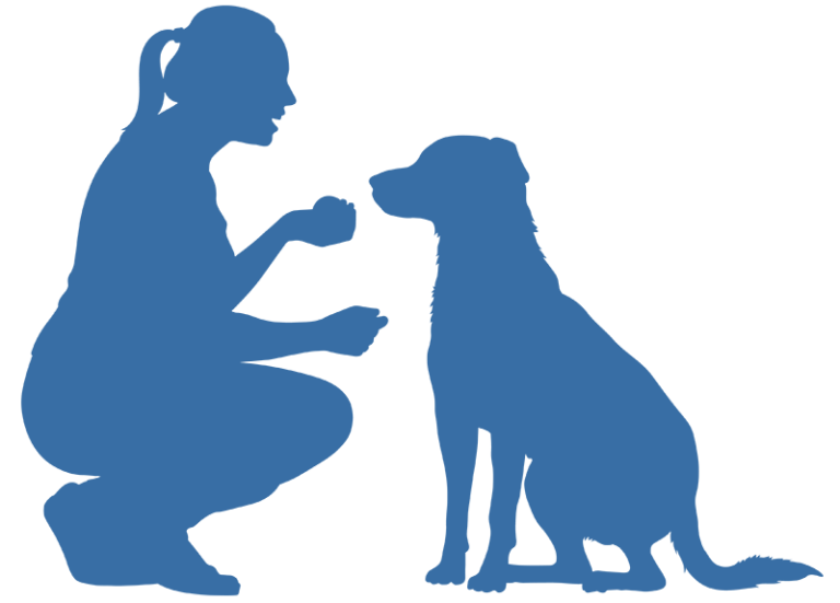 About Us | Gentle Care Animal Hospital in Lawrence, KS